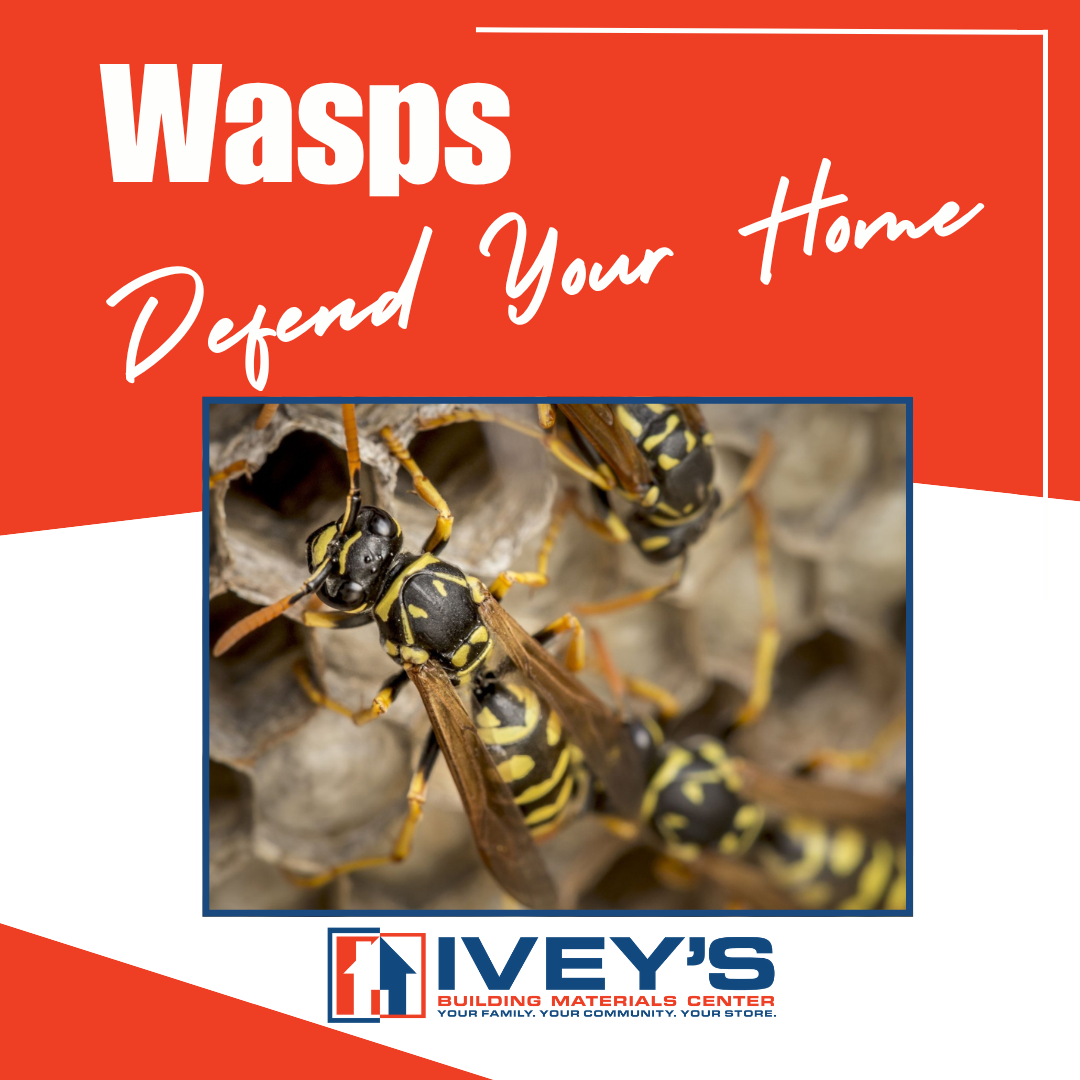Wasp Season: Your Defense Guide – Ivey's Hardware Hub